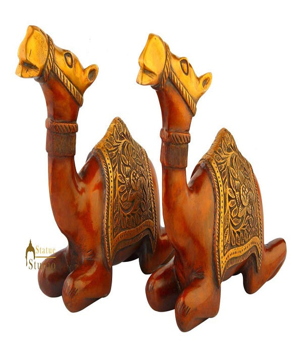 Brass Sitting Camel pair statue Showpiece decorative figurine sculptur ...